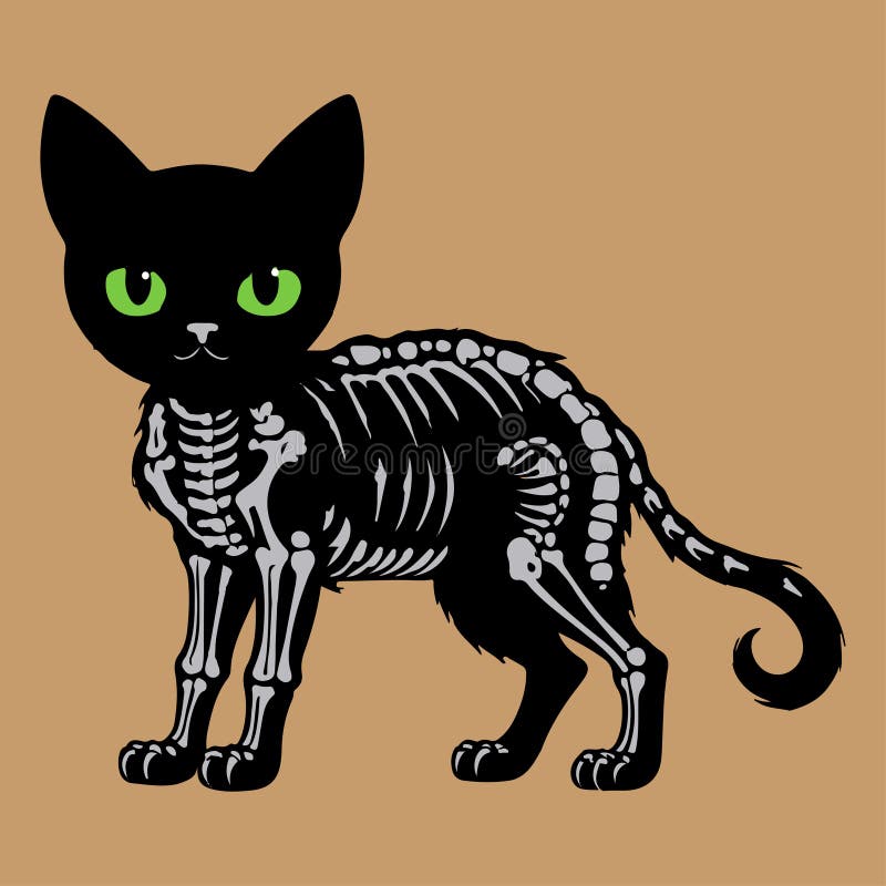 Set of Skeleton Black Cats with Dark Green Eye. Collection of ...