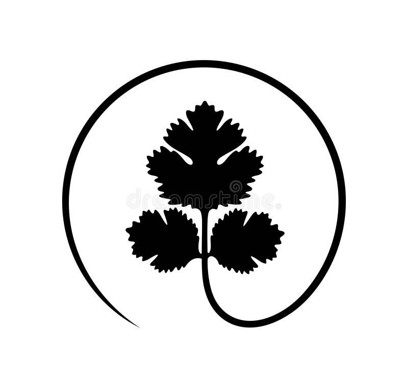 Coriander Leaf Vector