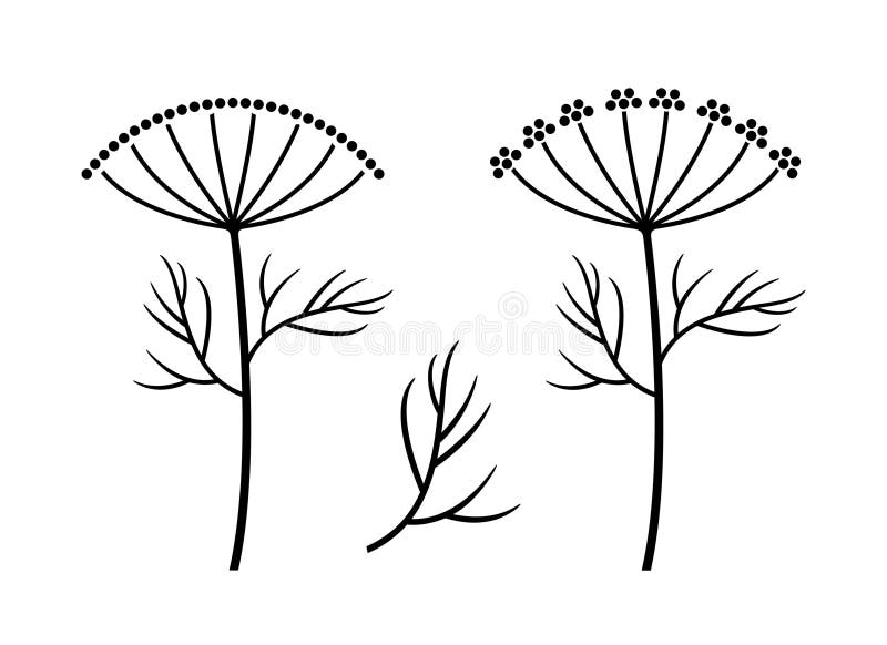 Dill Logo Stock Illustrations – 1,944 Dill Logo Stock Illustrations ...