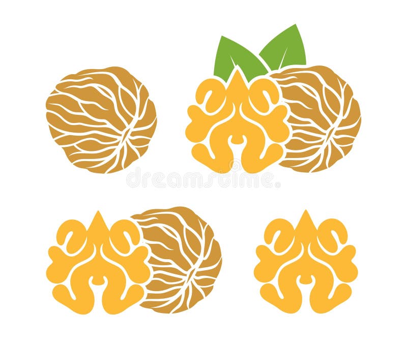 Walnut Logo. Isolated Walnut on White Background Stock Vector ...