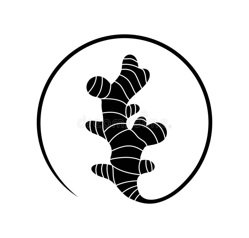 Ginger Logo. Isolated Ginger on White Background Stock Vector ...