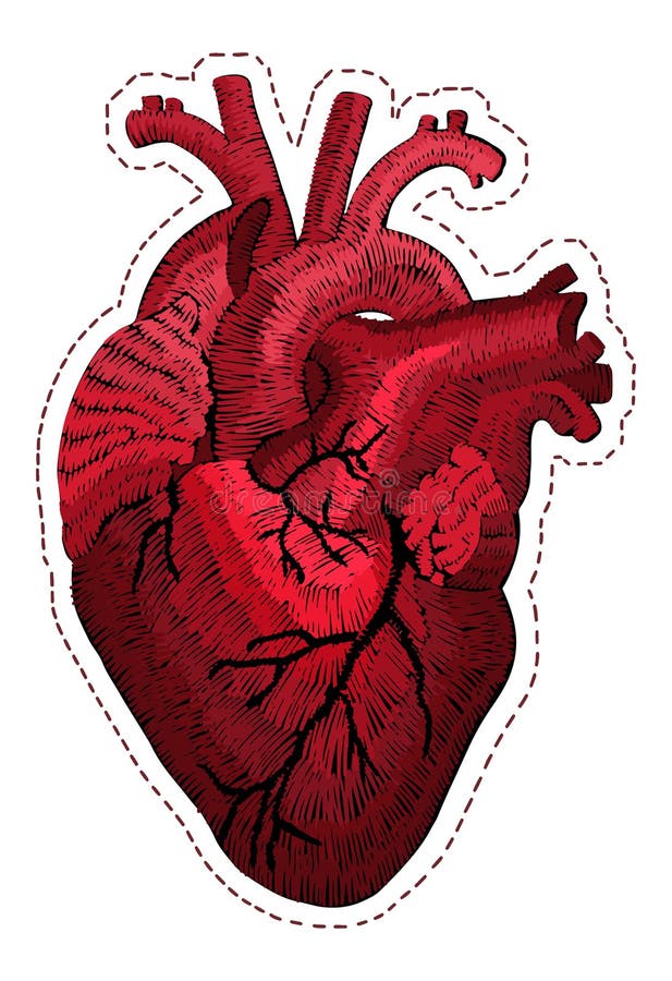 Realistic Anatomical Heart in the Style of a Sticker and Embroidery on ...