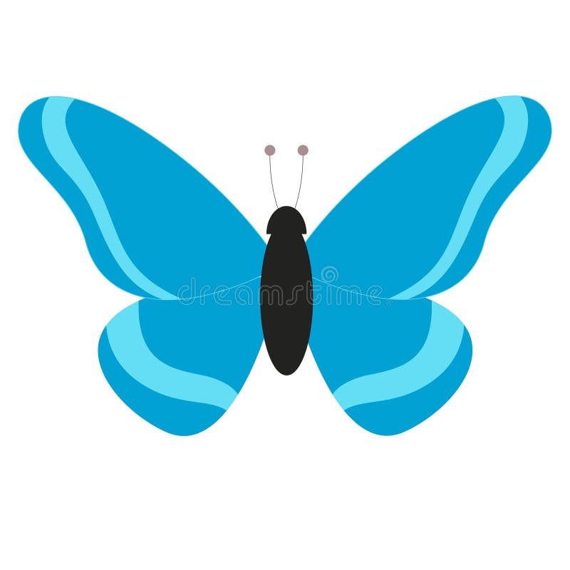 Animated Blue Butterflies