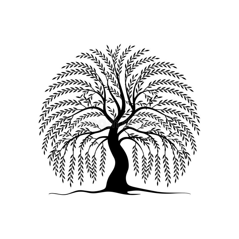 Simple Weeping Willow Tree Silhouette Vector, Willow Tree Logo Stock ...