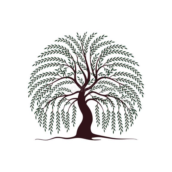 Simple Weeping Willow Tree Vector, Willow Logo Stock Vector ...