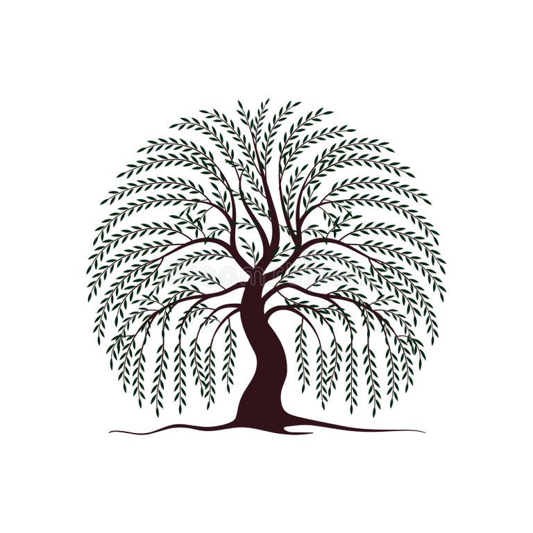 Simple Weeping Willow Tree Vector, Willow Logo Stock Vector ...