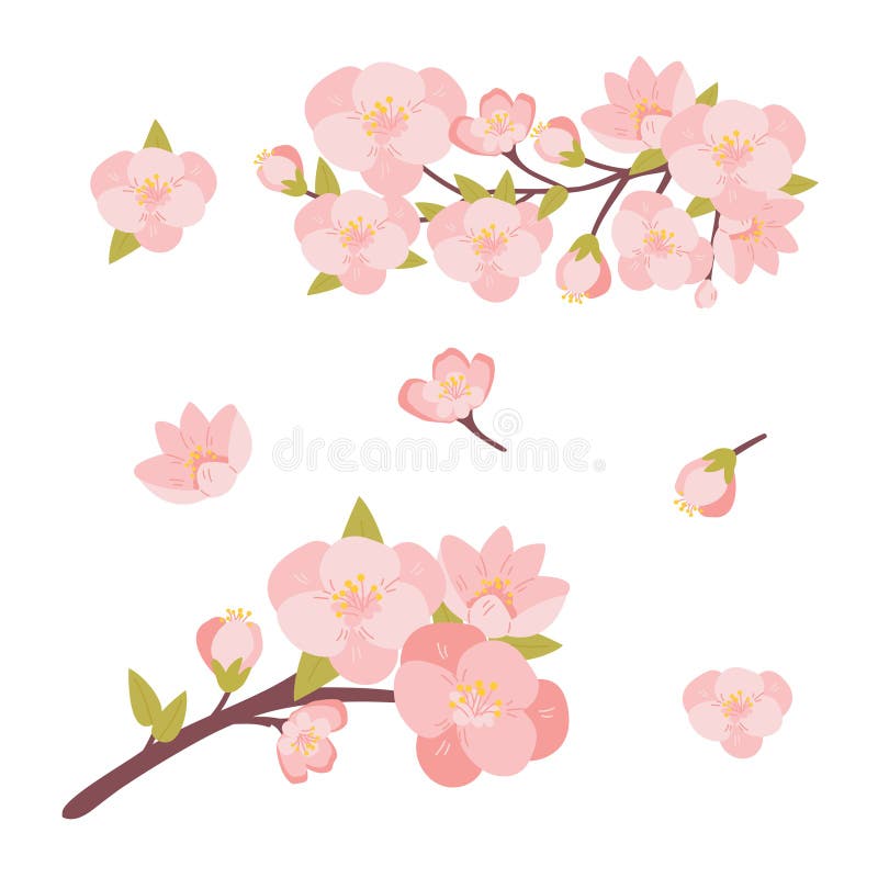 Cherry Blossoms Vector Set. Sakura Set, Trees, Branches and Japanese ...