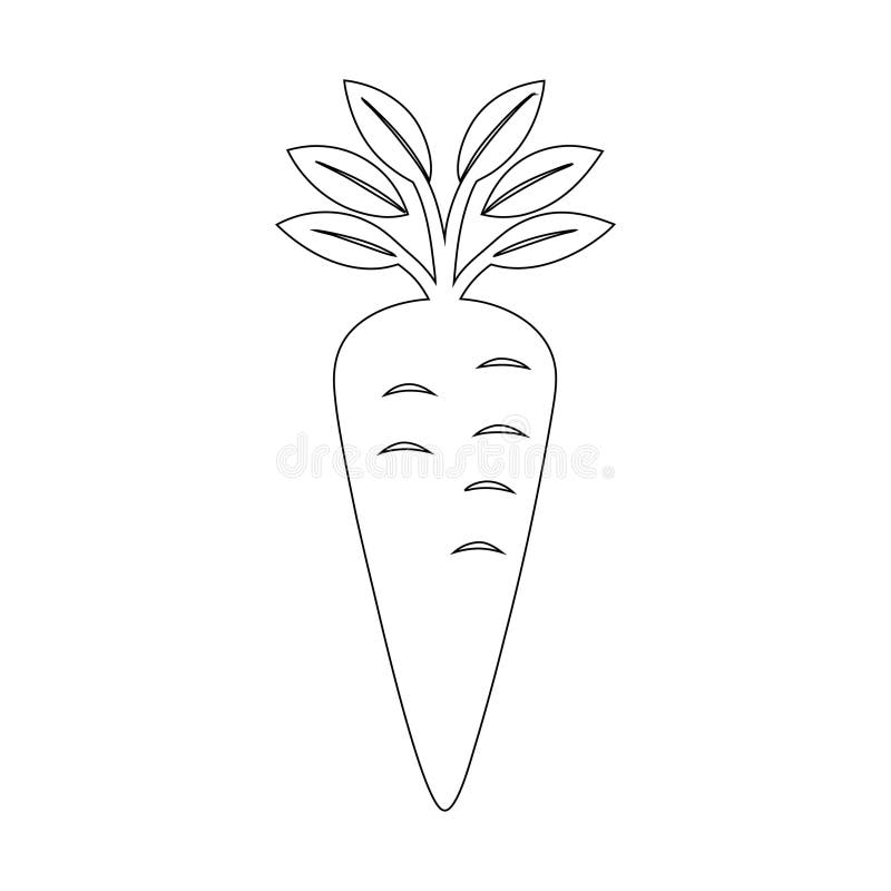 Outline Clipart Carrot Outline Carrot Transparent Free