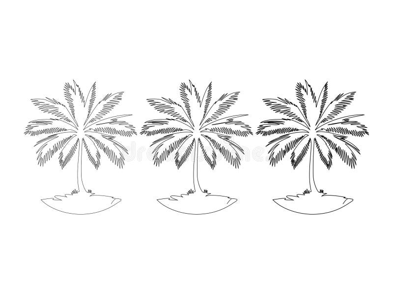 Hand-Drawn Palm Tree Sketch Vector Set, Palm Tree Line Art Stock Vector ...