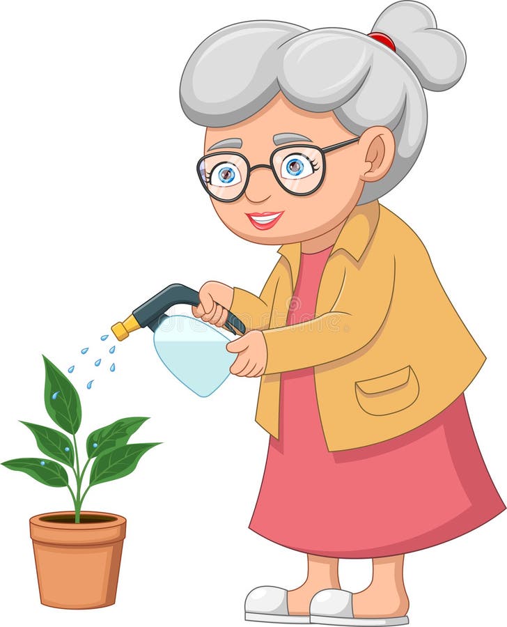 Grandma Watering the Plants in the Pot Cartoon Stock Illustration ...