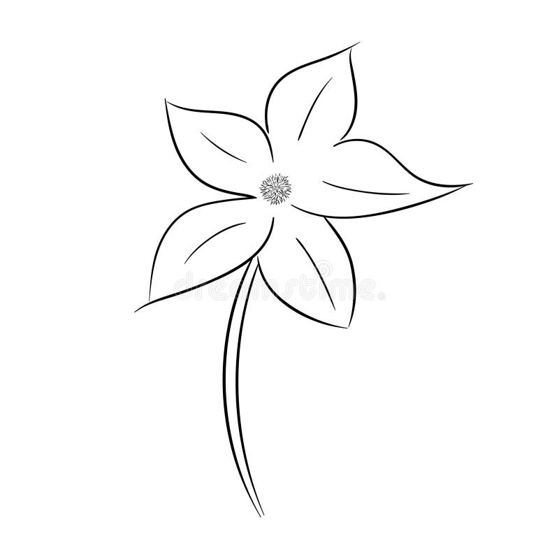 Flowing Line Drawing. Hand Drawn Sketch of Flower. Minimalist Line Art ...