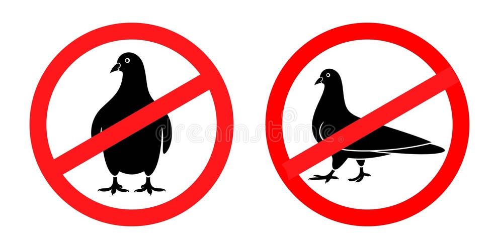 Stop, Do Not Feed Dove. Do Not Feed Birds Signs. Dove Logo Stock ...
