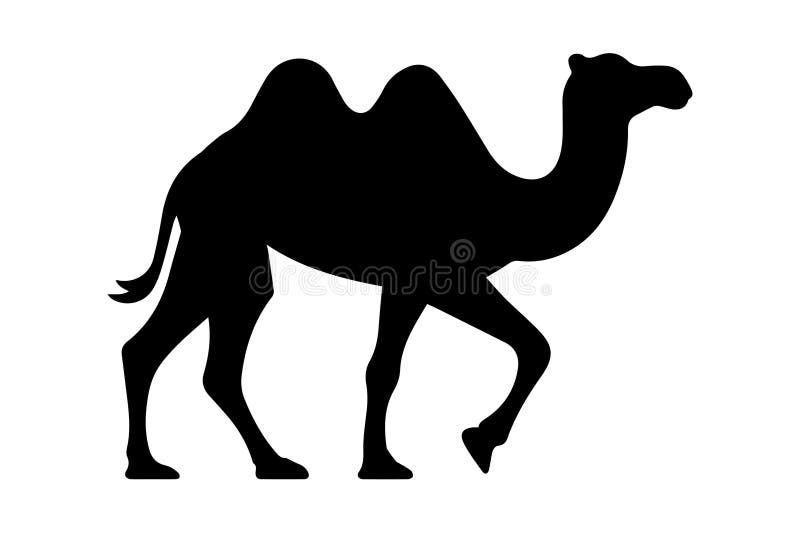 A Bold Black Vector Silhouette of a Camel Walking Stock Vector ...