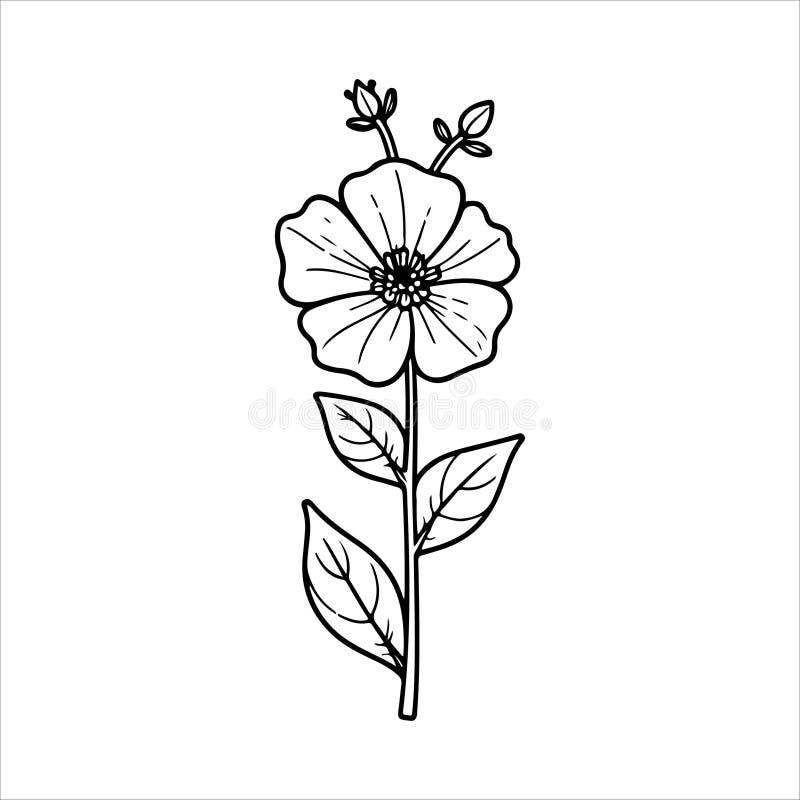 Amazing Drawing of a Flower with a Flower on it Stock Photo - Image of ...