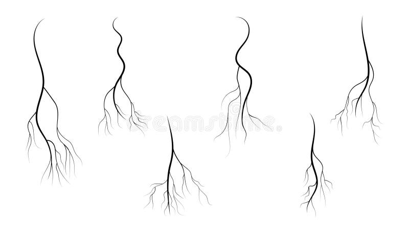 Set of Human Veins and Arteries, Capillaries. Tree Roots. Shrub Roots ...