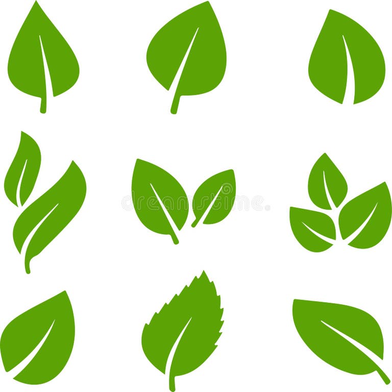 Icon Set about Leaf, Leaves of Green Plants. Icons, Flat Vector ...