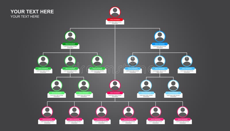 Business Hierarchy Organogram Chart Infographics. Long Business Team ...