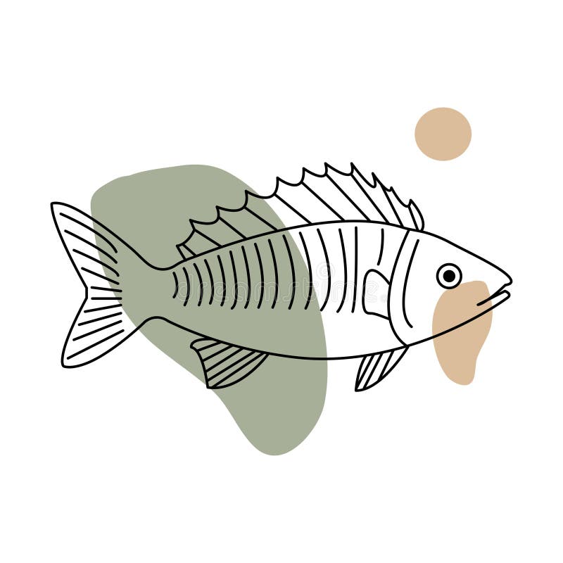 Fish Line Art Drawing in Minimal Abstract Style with Organic Color ...