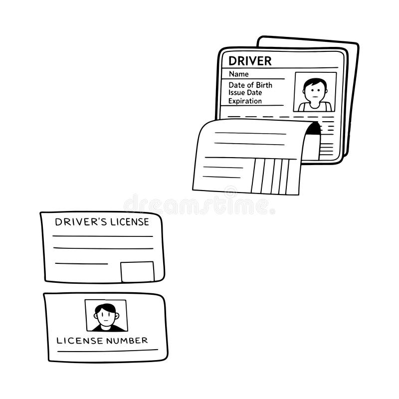 Driver s license sample stock vector. Illustration of text - 389289619