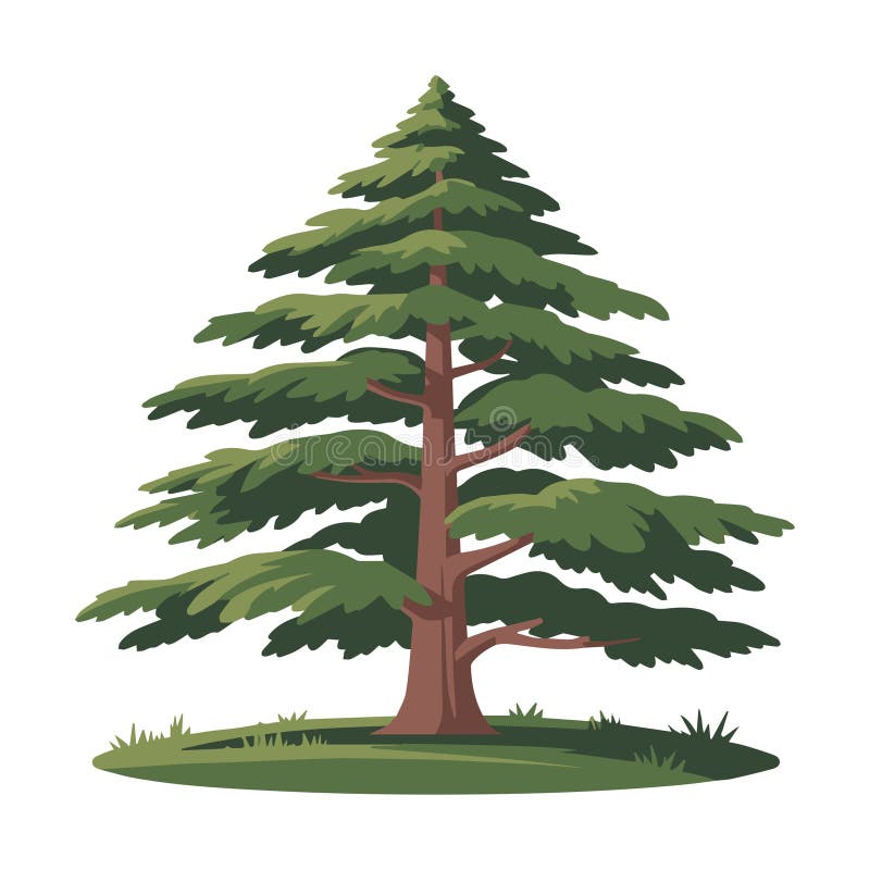 Cedar Tree Illustration with Dense Green Foliage and Brown Trunk Stock ...