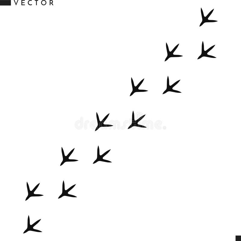 Bird Paw Prints. Chicken Paw Prints Stock Vector - Illustration of ...