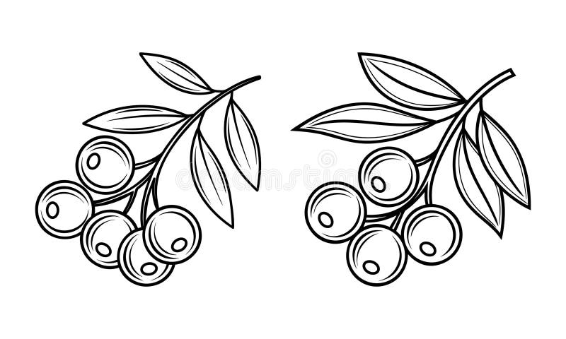 118 Berry Font Cartoon Stock Photos - Free & Royalty-Free Stock Photos ...