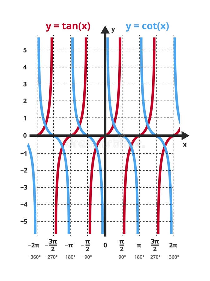 Cot X Stock Illustrations – 8 Cot X Stock Illustrations, Vectors ...