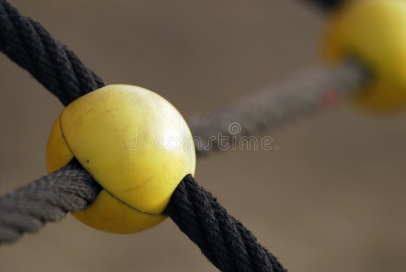 Ox adn Yoke stock image. Image of teamwork, pair, couple - 3157543