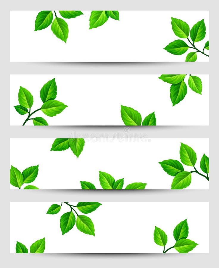 Vector Green Leaves Banners. Stock Vector - Illustration of plant ...