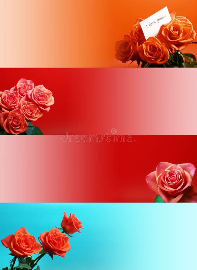 Web banners with rose stock photo. Image of flora, card - 18631326
