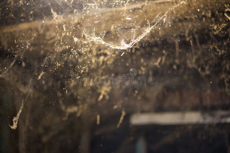 Web in the Barn. Sunbeams Illuminating Floating Dust Particles and ...