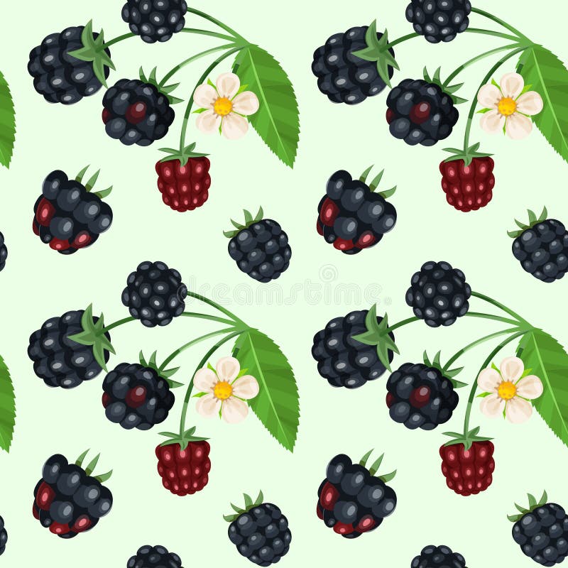 Blackberry and Leaves Seamless Pattern. Berry Design for Wrapping Paper ...