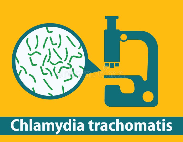 Chlamydia trachomatis stock vector. Illustration of page - 264441419