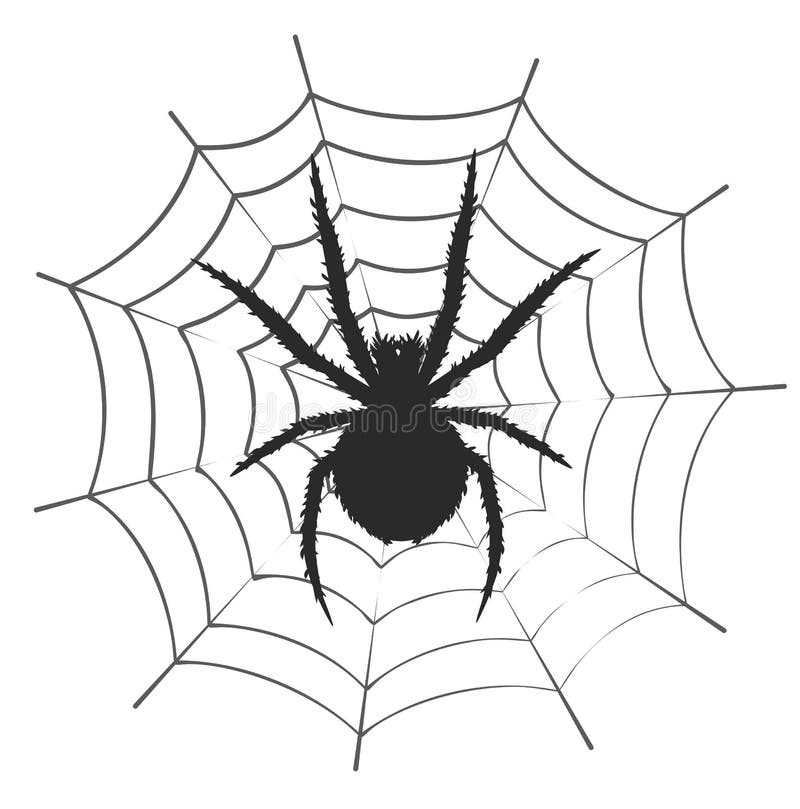 Web con un ragno illustrazione vettoriale. Illustrazione di ragnatela ...