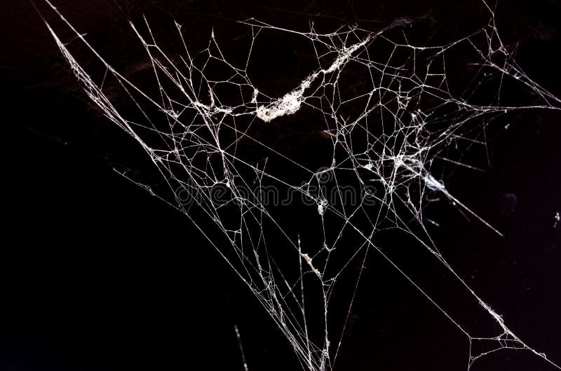 567 Most Popular Electric Stock Photos - Free & Royalty-Free Stock ...