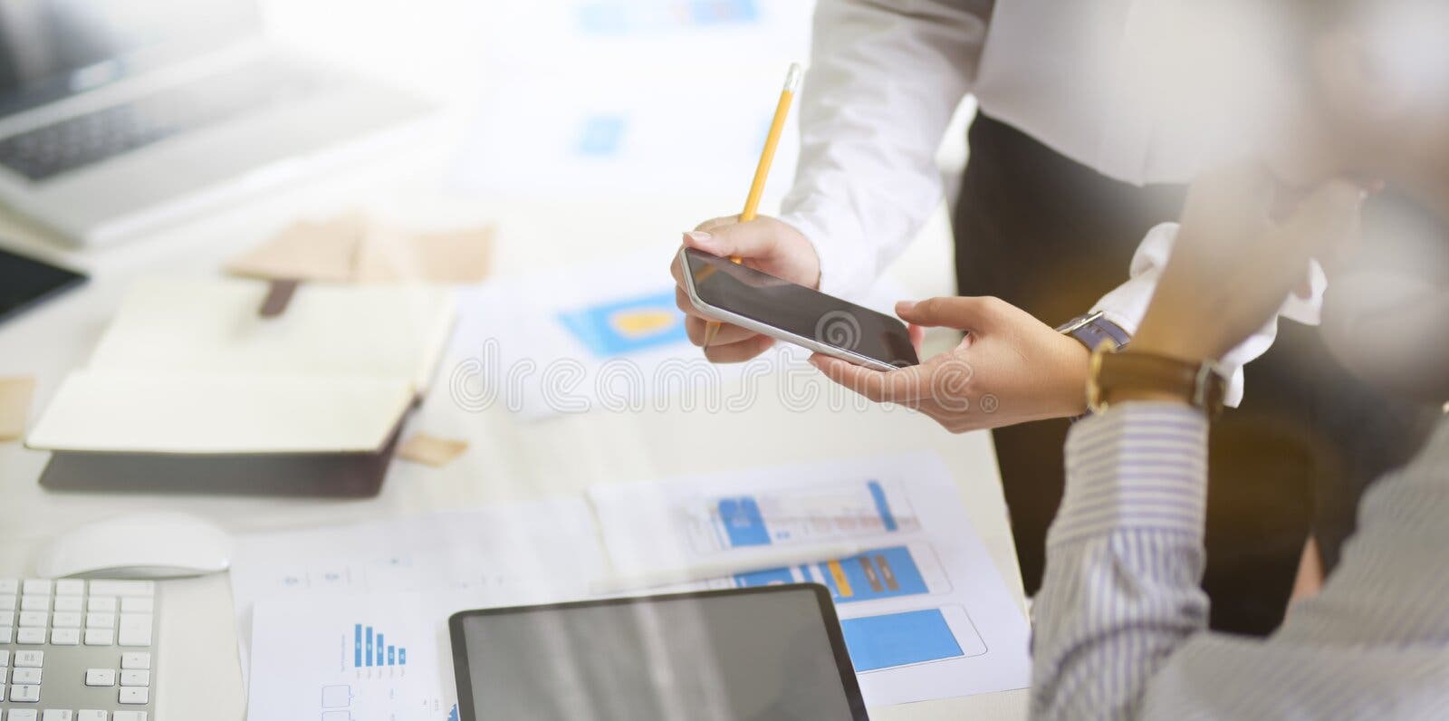 Professional Team of Programmer Working on Project in Software ...