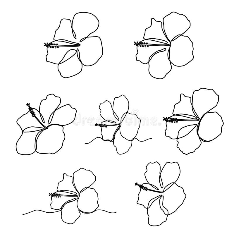 Hibiscus One Line Stock Illustrations – 102 Hibiscus One Line Stock ...