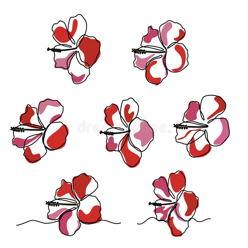 Hibiscus One Line Stock Illustrations – 157 Hibiscus One Line Stock ...