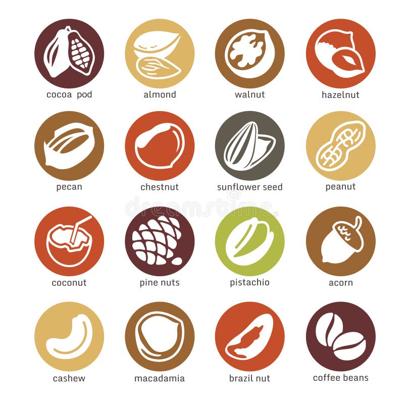 Web Icon Set - Nuts and Seed Stock Vector - Illustration of hazel ...