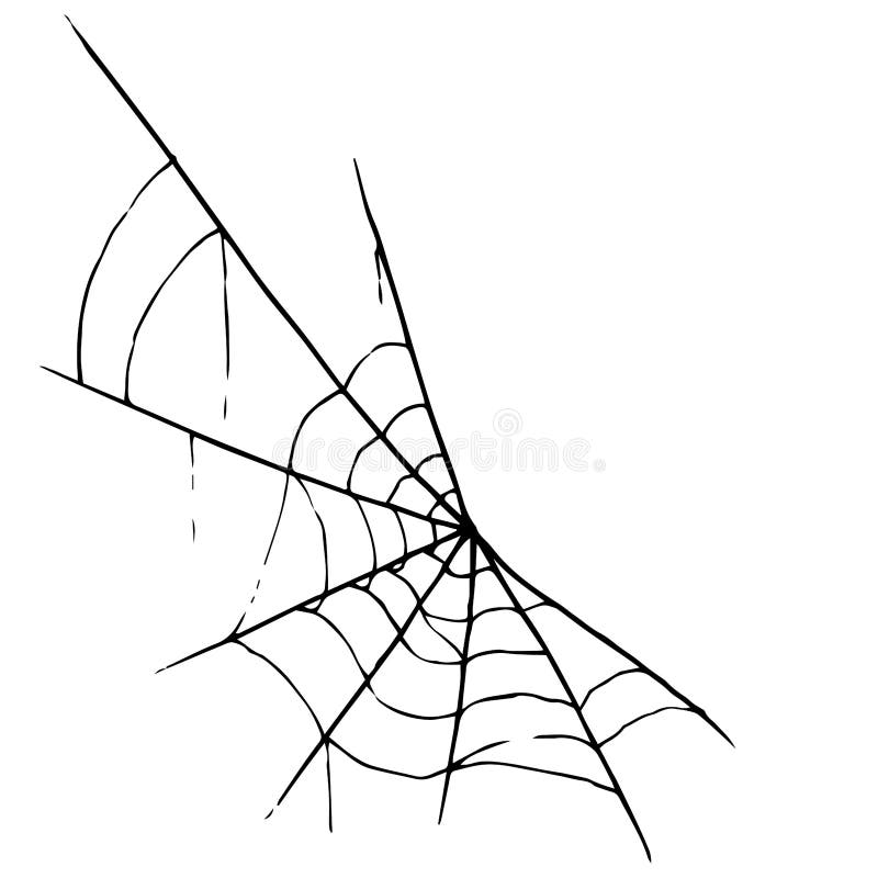 Web Icon. Vector Illustration of a Spider Web. Net, Web Spider Hand ...