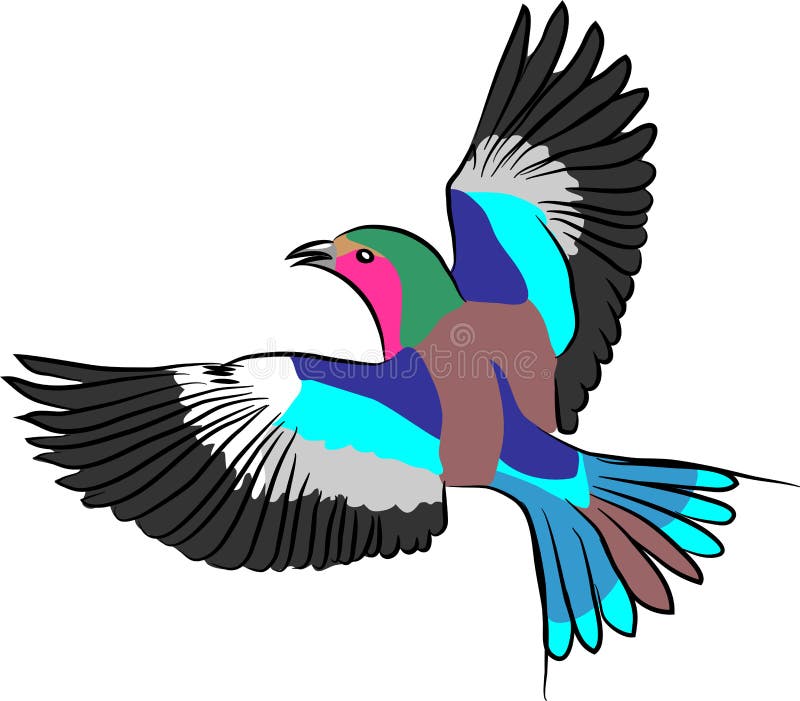 Lilac - Breasted Roller Vector Stock Vector - Illustration of roller ...