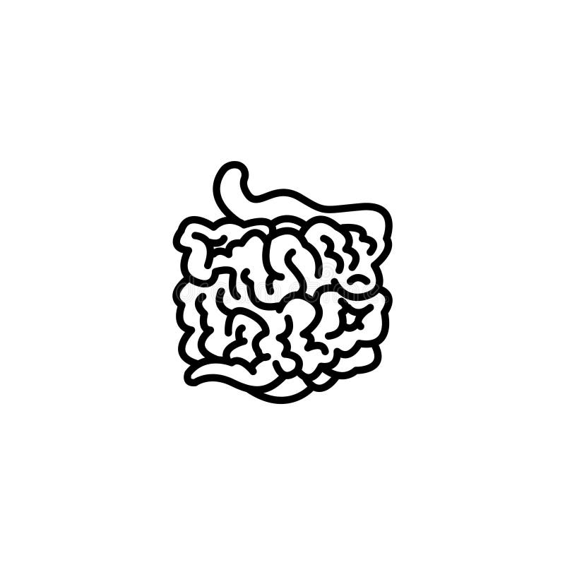 Intestine Line Art Stock Illustrations – 989 Intestine Line Art Stock ...