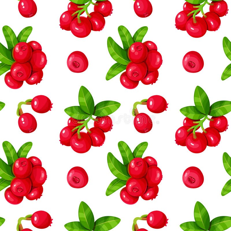 Lingonberry and Leaves Seamless Pattern. Berry Design for Wrapping ...