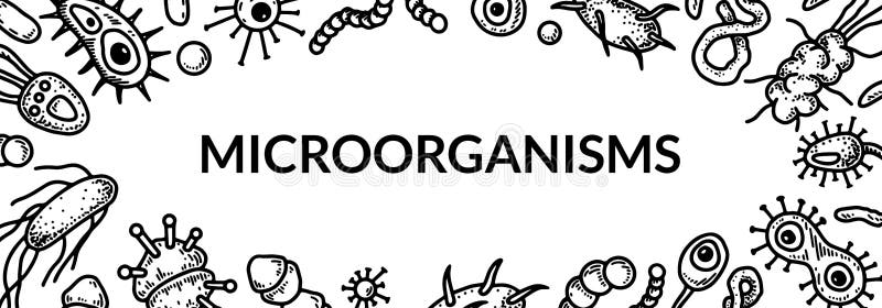 Microbiology Banner. Collection of Different Types of Microorganisms ...