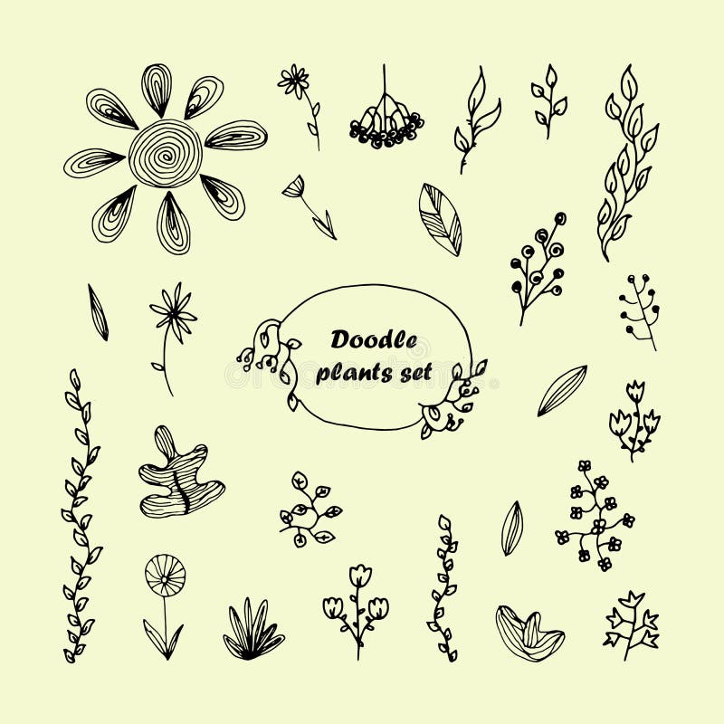 Plants and Flowers Doodle Set. Hand Drawn Vector Stock Illustration ...