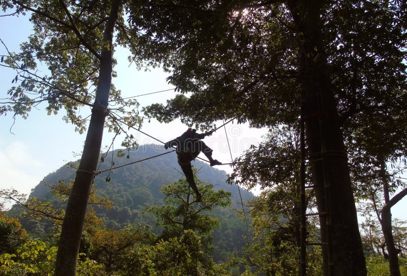 Web Rope Obstacle between the Trees Stock Image - Image of hill, forest ...