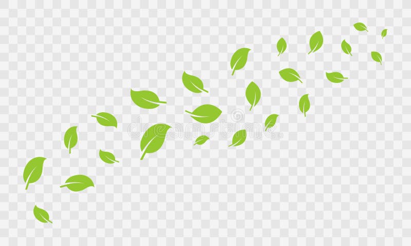 Set of Flying Green Foliage. Motion Fresh Leaves. Wind Raises Leaf ...