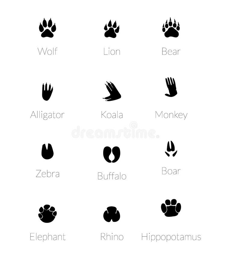 Owl Footprints Stock Illustrations – 61 Owl Footprints Stock ...