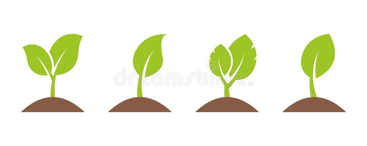 Sprout Grow Tree Stock Illustrations – 21,590 Sprout Grow Tree Stock ...