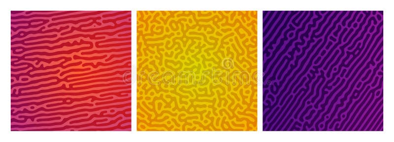 Set Of Three Colorful Turing Reaction Gradient Stock Vector